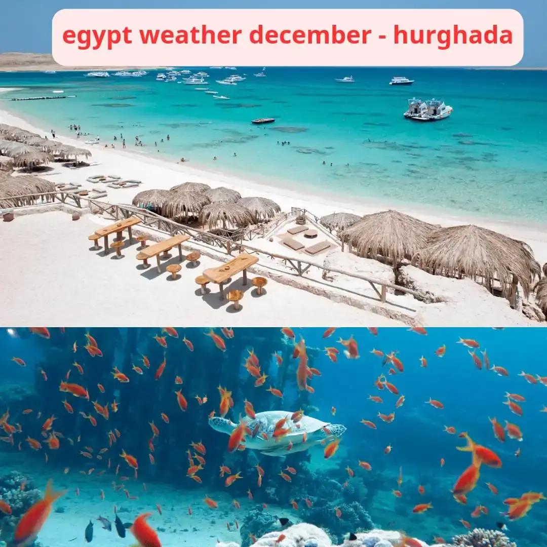 Egypt Temperatures in December | Plan Your Winter Trip