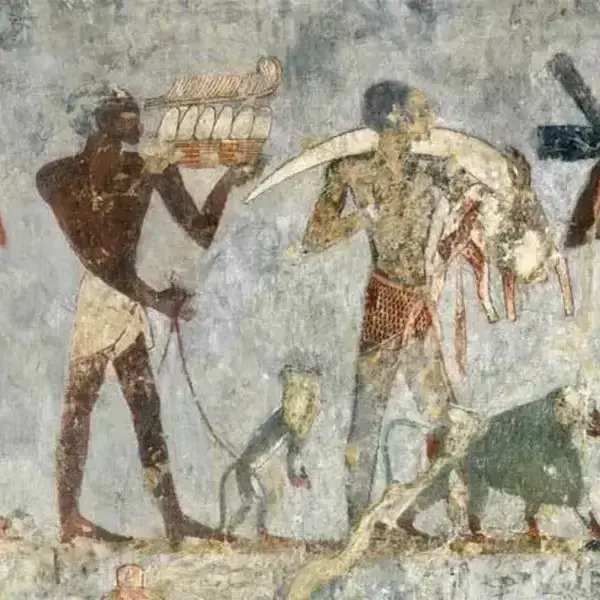 What Did Hatshepsut Do? | Legacy of Egypt’s Female Pharaoh